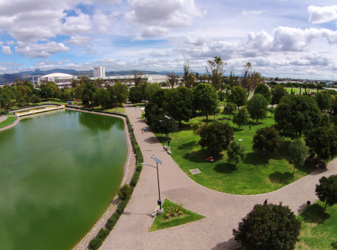 León, hub de negocios | MDC Magazine
